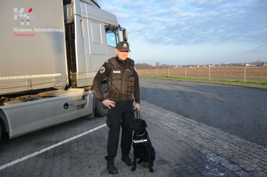 Psy służbowe KAS jako pierwsze w Polsce pomogą w wykrywaniu covid