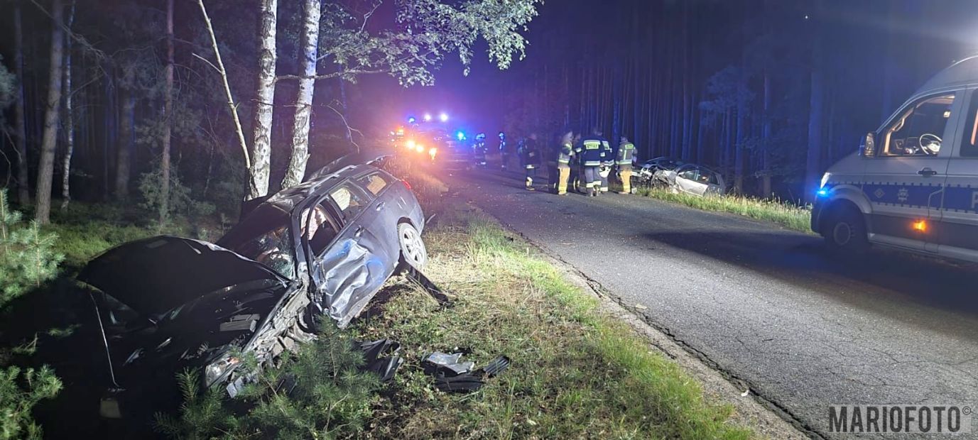 Dwie osoby w szpitalu po nocnym wypadku na trasie Ładza - Popielów - Opowiecie.info
